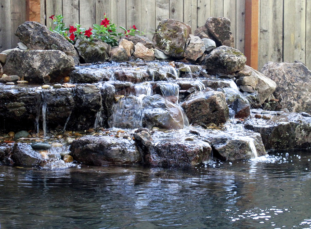 Pond Gallery | Complete Ponds gallery of pond photos