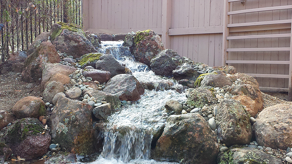 Pond Gallery | Complete Ponds gallery of pond photos