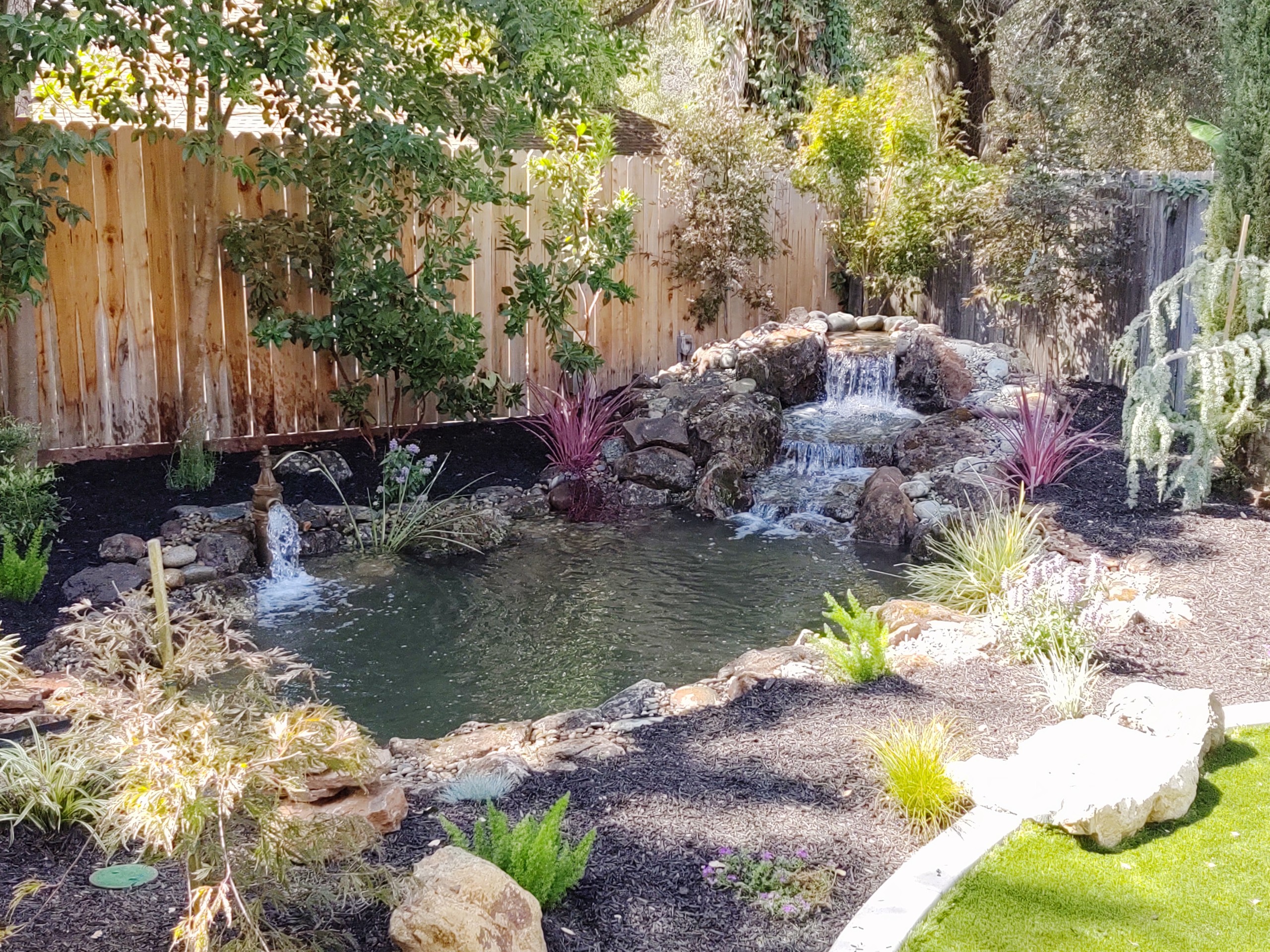 Pond Gallery | Complete Ponds gallery of pond photos