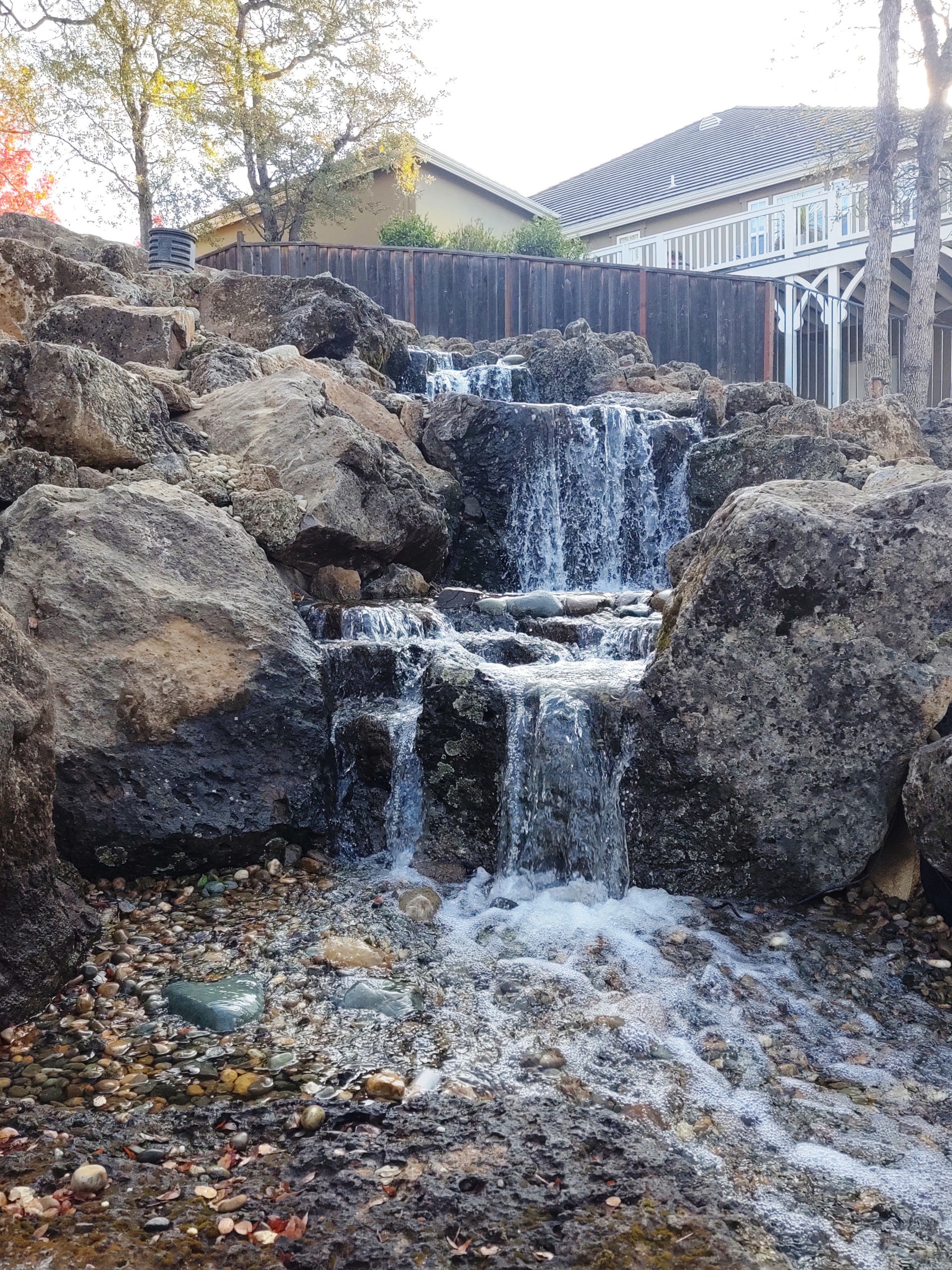 Pond Gallery | Complete Ponds gallery of pond photos